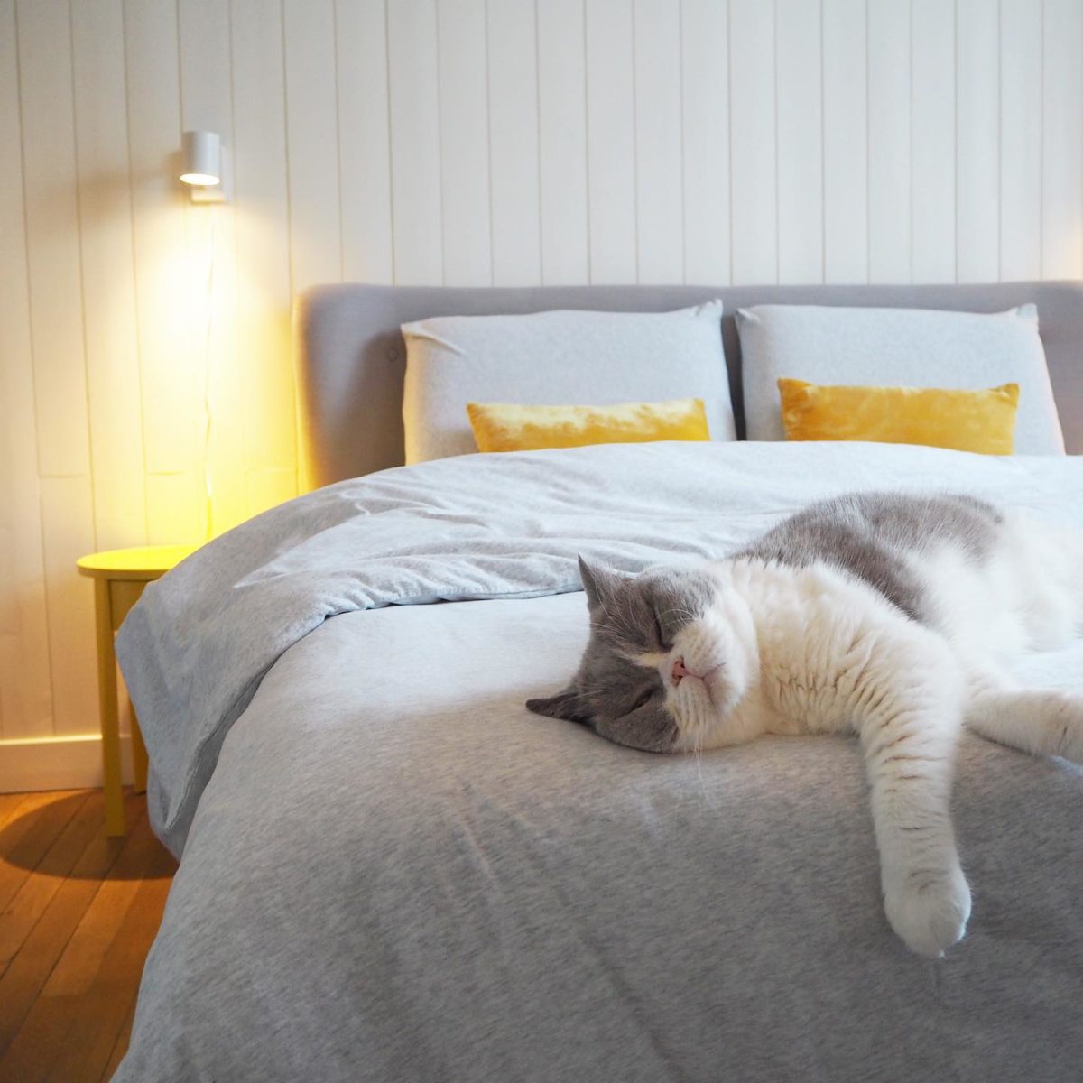 Eve Sleep Review - Must Read This Before Buying