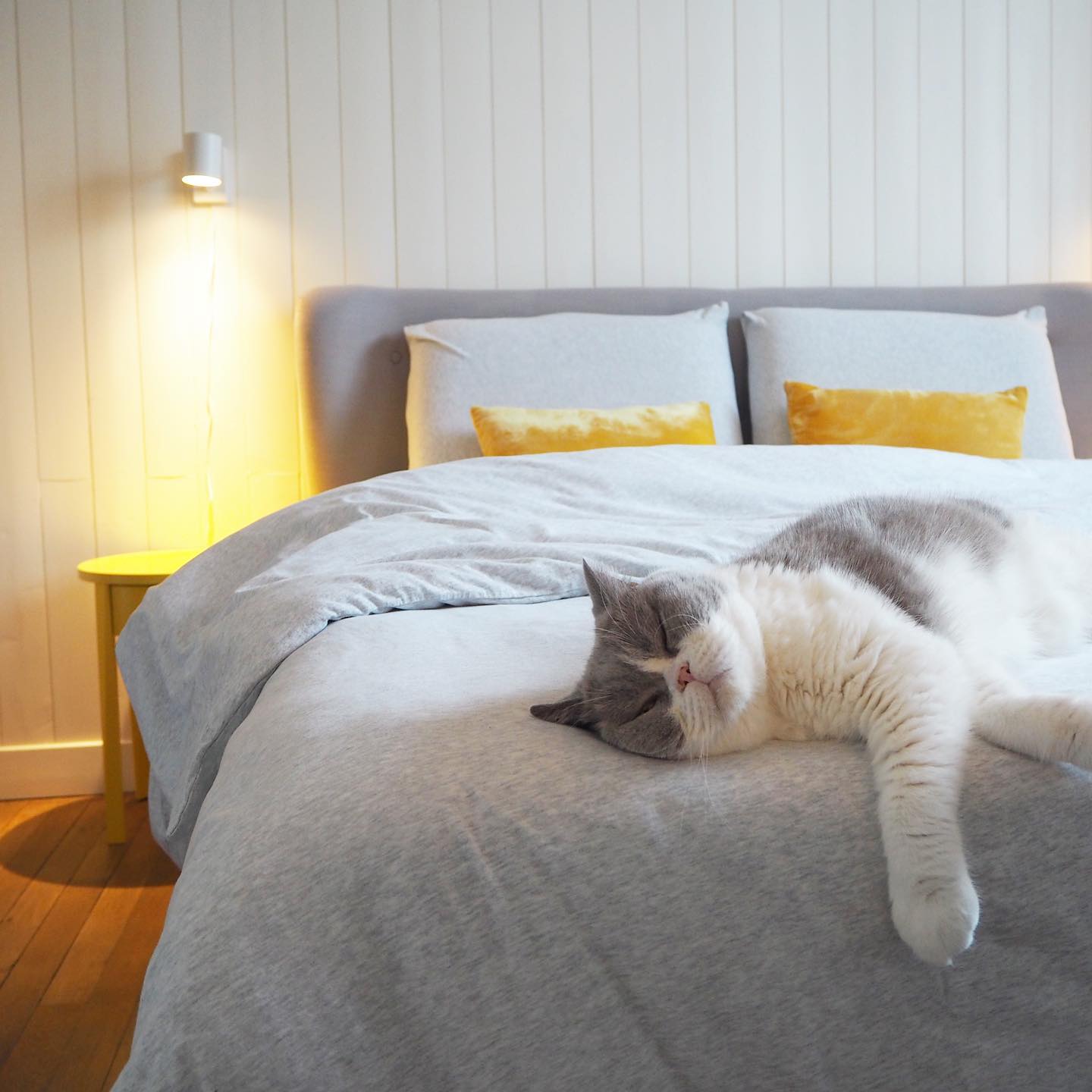 Eve Sleep Review - Must Read This Before Buying