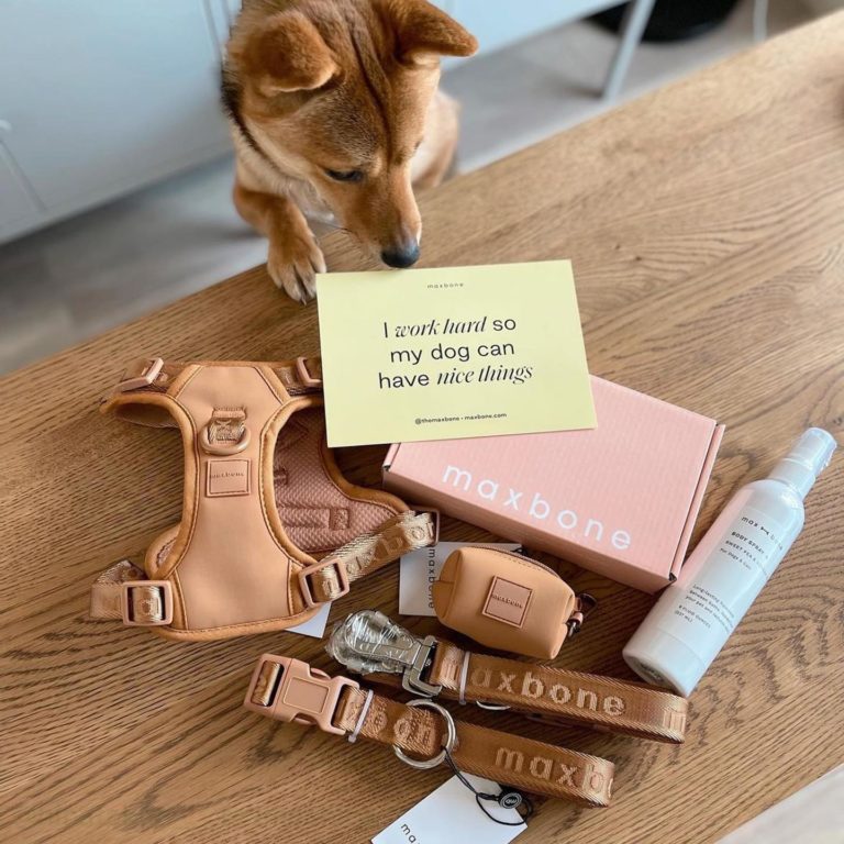 Maxbone Review - Must Read This Before Buying