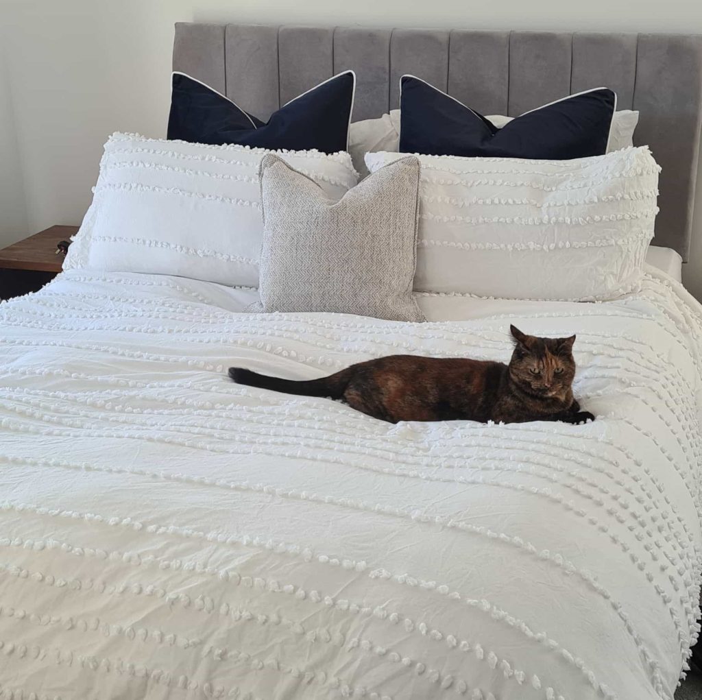 DUSK Cover Review - Must Read This Before Buying