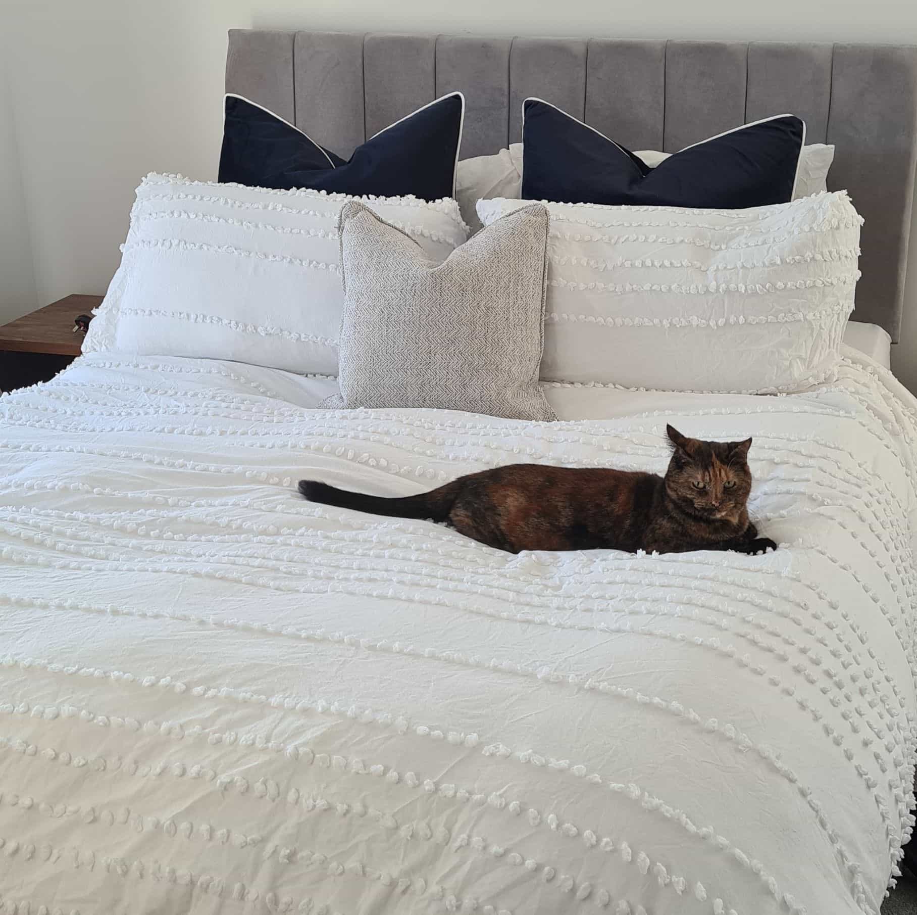 DUSK Cover Review - Must Read This Before Buying