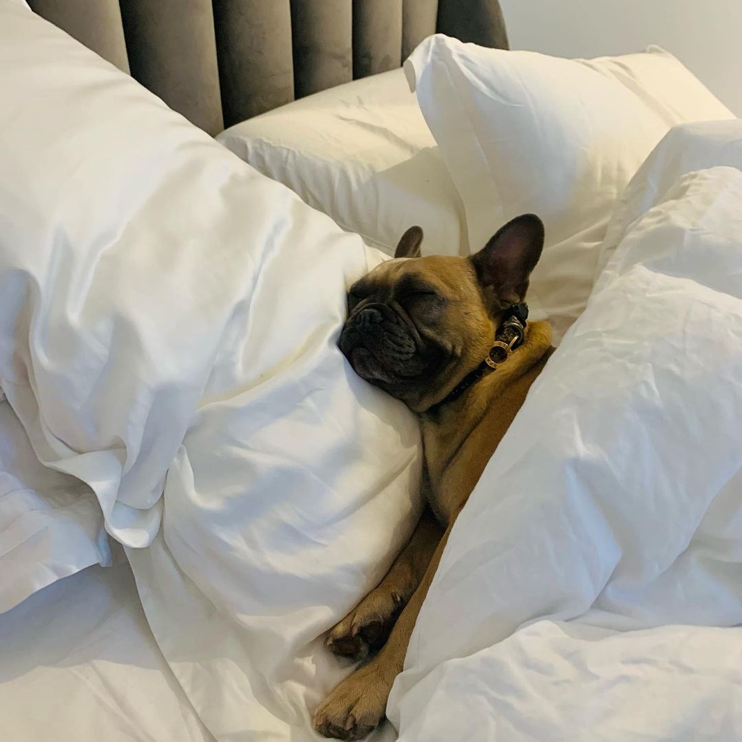 DUSK Cover Review - Must Read This Before Buying