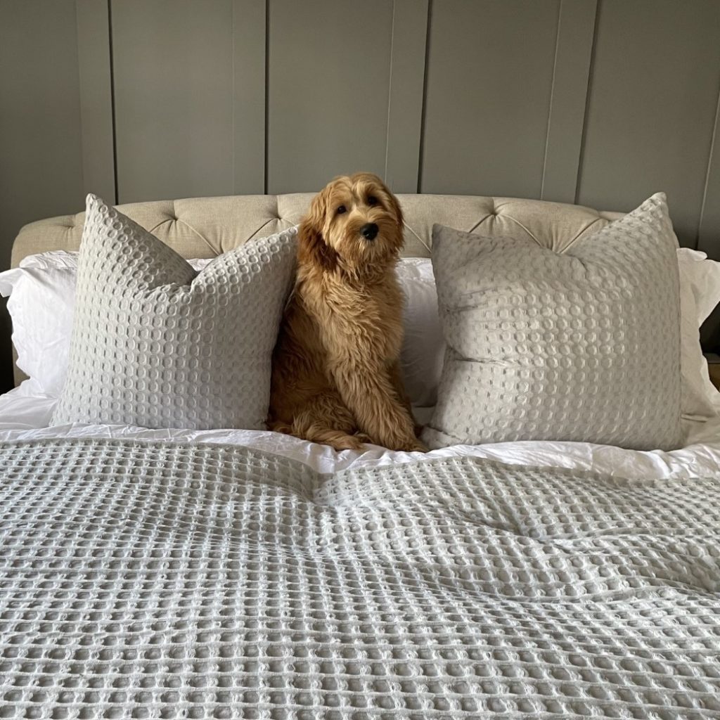 DUSK Cover Review - Must Read This Before Buying