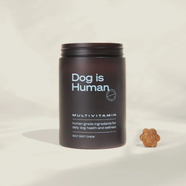 Dog is Human Review - Must Read This Before Buying