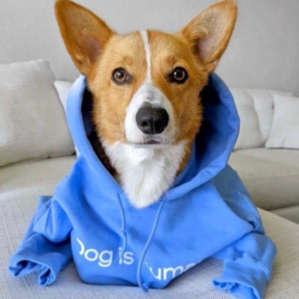 Dog is Human Review - Must Read This Before Buying