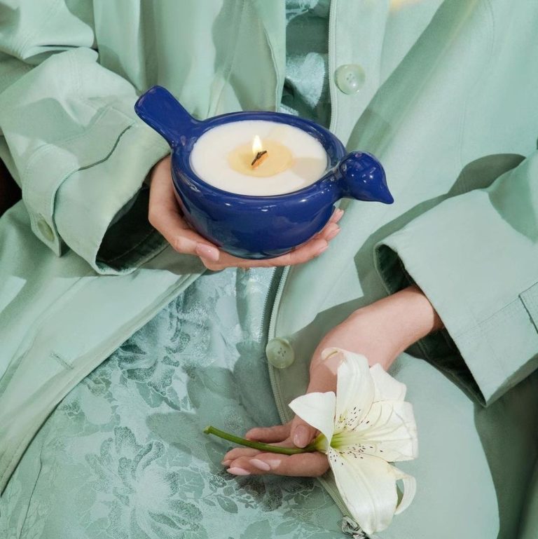 Goodee Review - Must Read This Before Buying