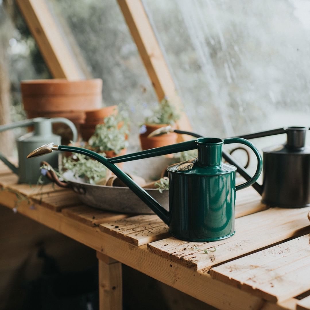 Goodee Review - Must Read This Before Buying