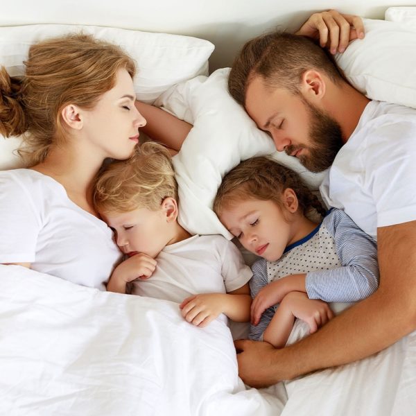 Hollander Sleep Products Review - Must Read This Before Buying