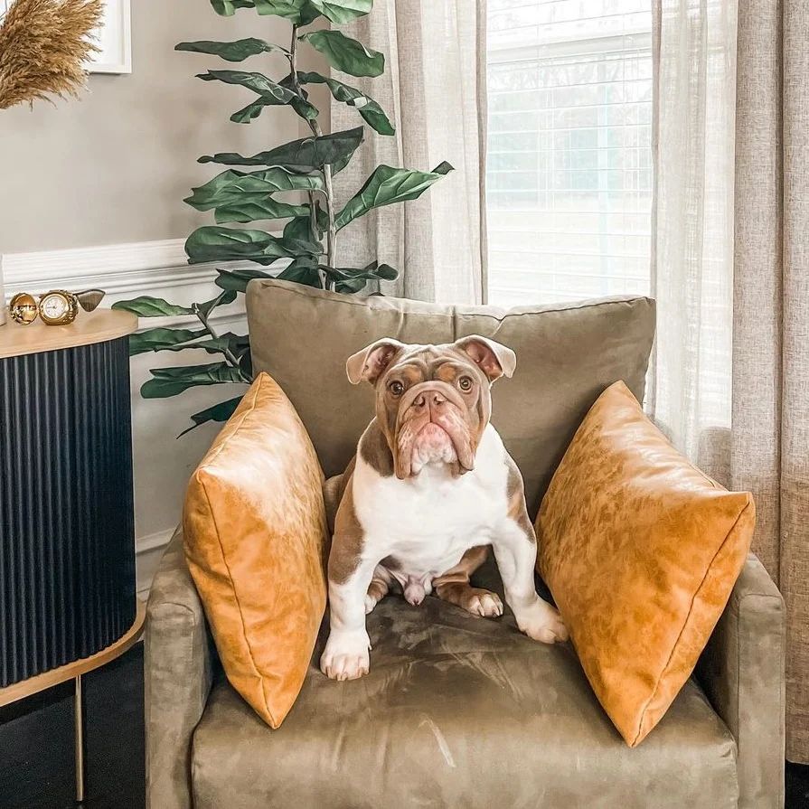 Inside Weather Review - Must Read This Before Buying