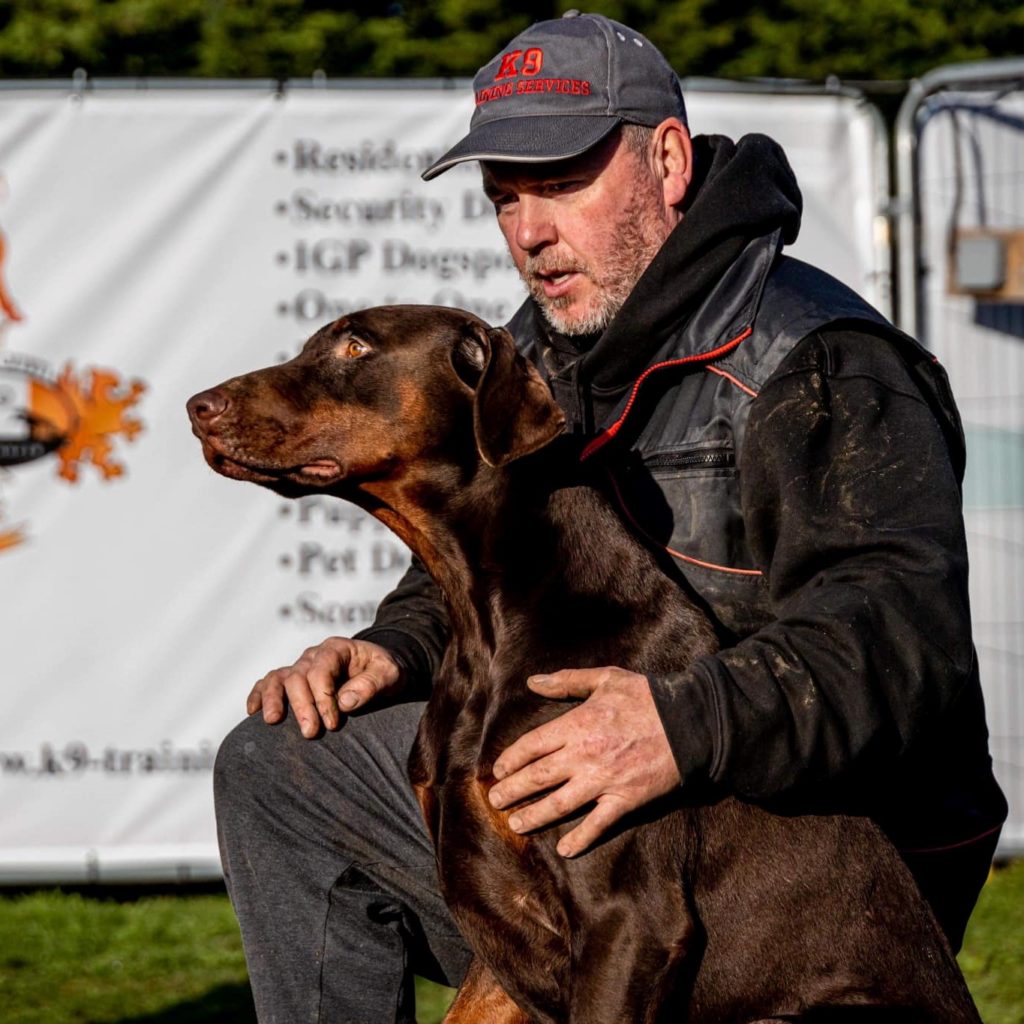 K9 Dog Training Review Must Read This Before Buying K9 Dog Training Review Must Read This Before Buying