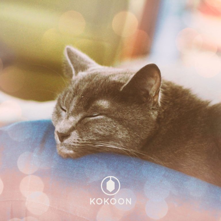 Kokoon Review - Must Read This Before Buying