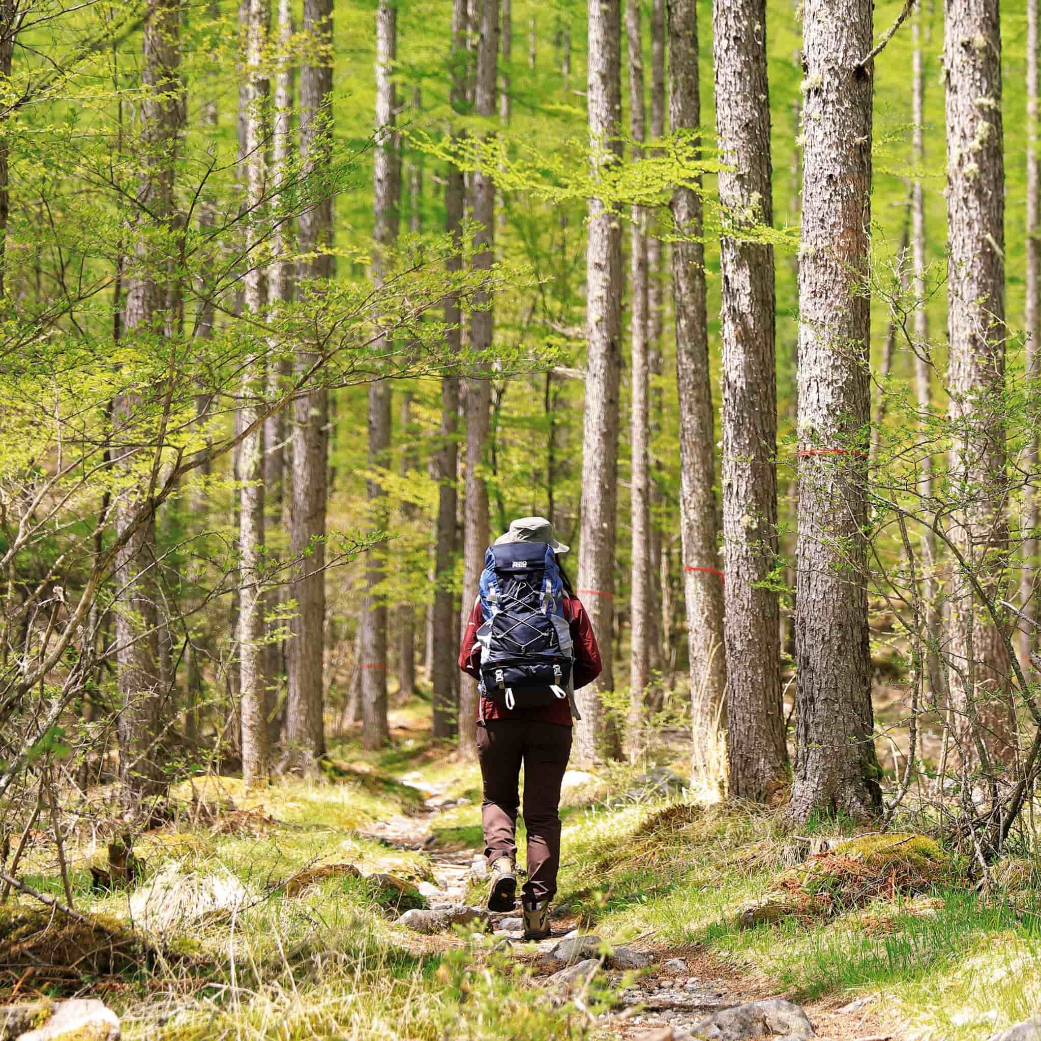 Montbell Review - Must Read This Before Buying