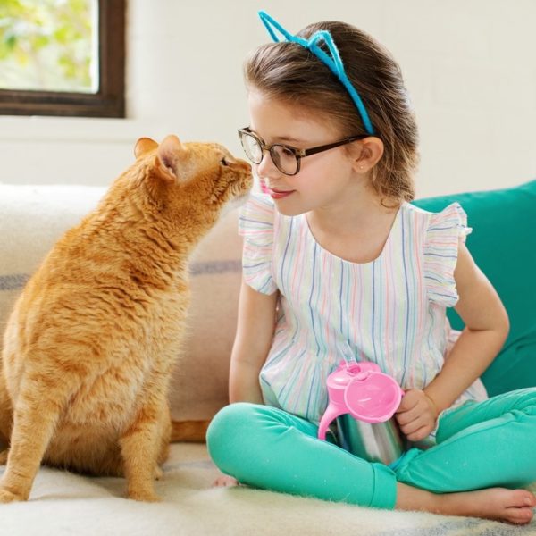 Munchkin Review - Must Read This Before Buying