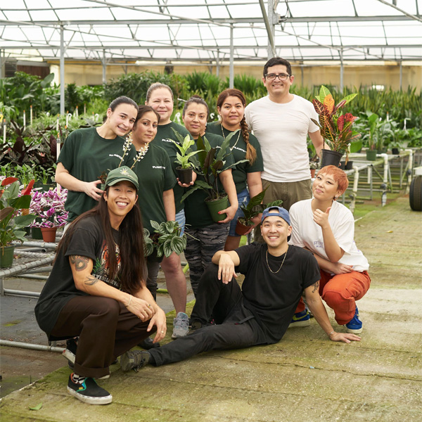 Rooted Review - Must Read This Before Buying