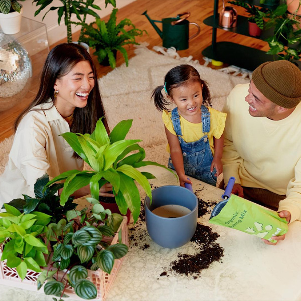 Rooted Review - Must Read This Before Buying