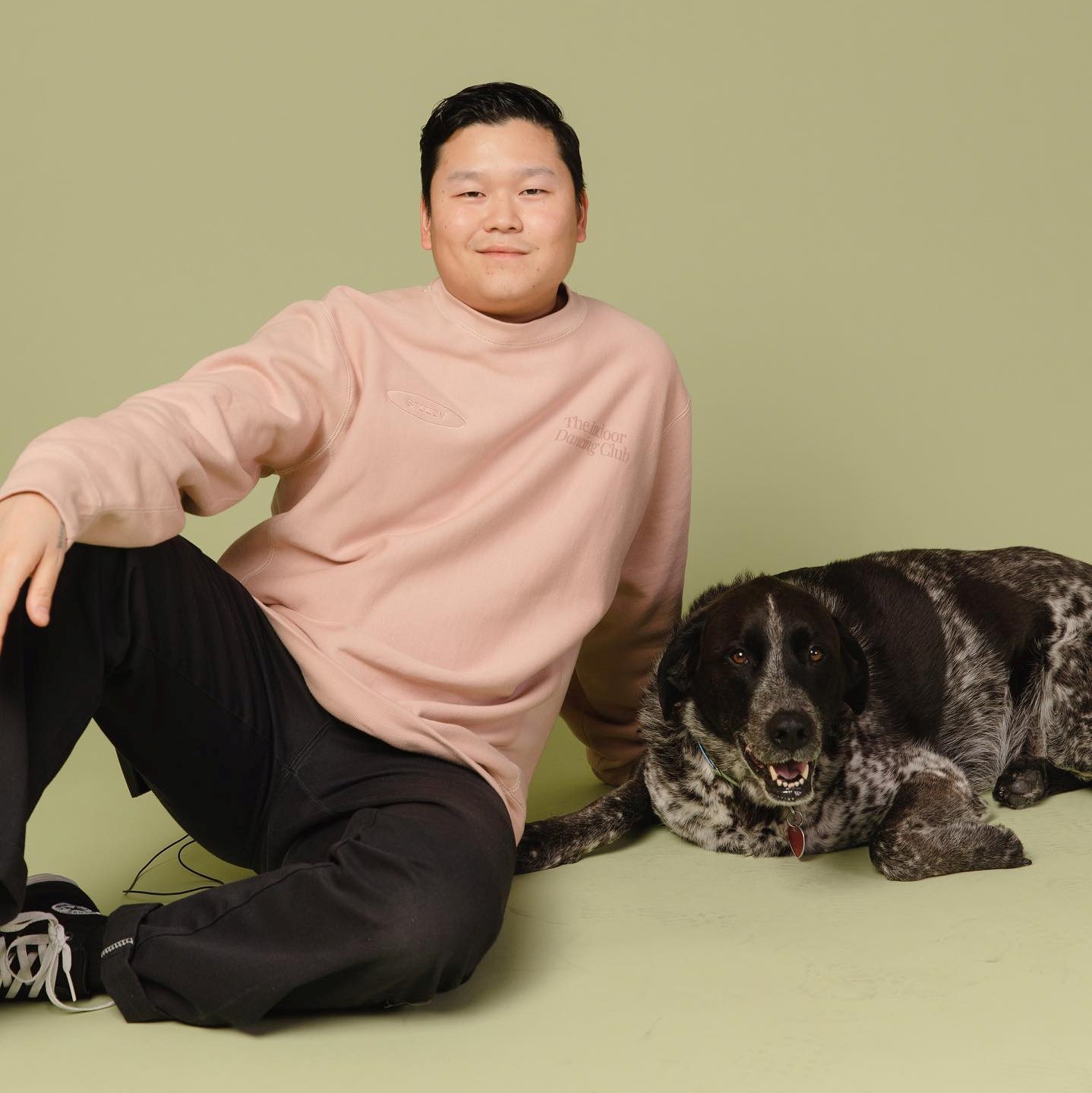 STEEZY Review - Must Read This Before Buying