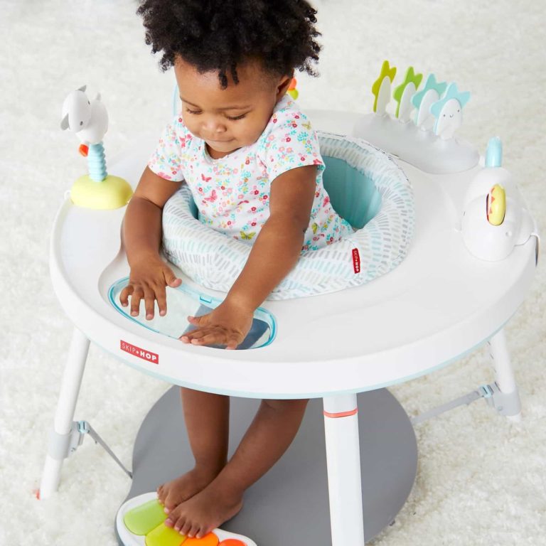 Skip Hop Review - Must Read This Before Buying