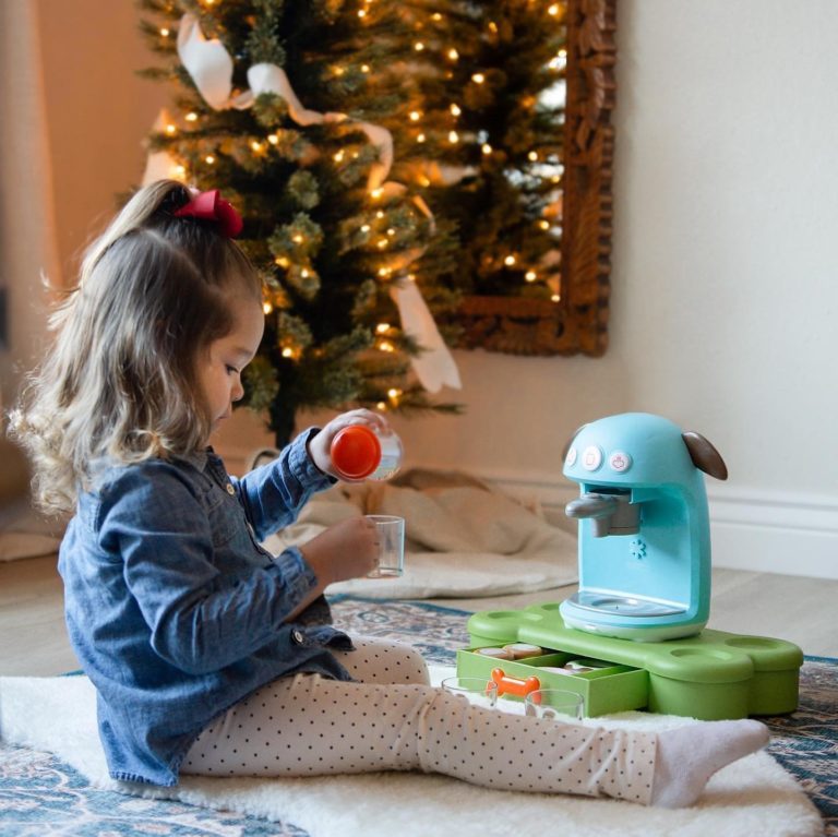 Skip Hop Review - Must Read This Before Buying