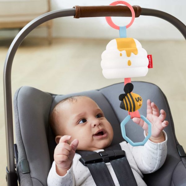 Skip Hop Review - Must Read This Before Buying