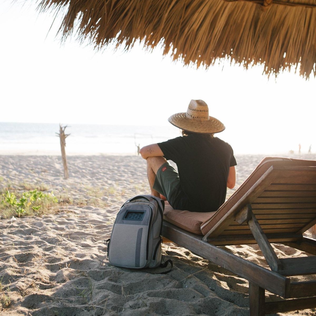 Solgaard Review - Must Read This Before Buying