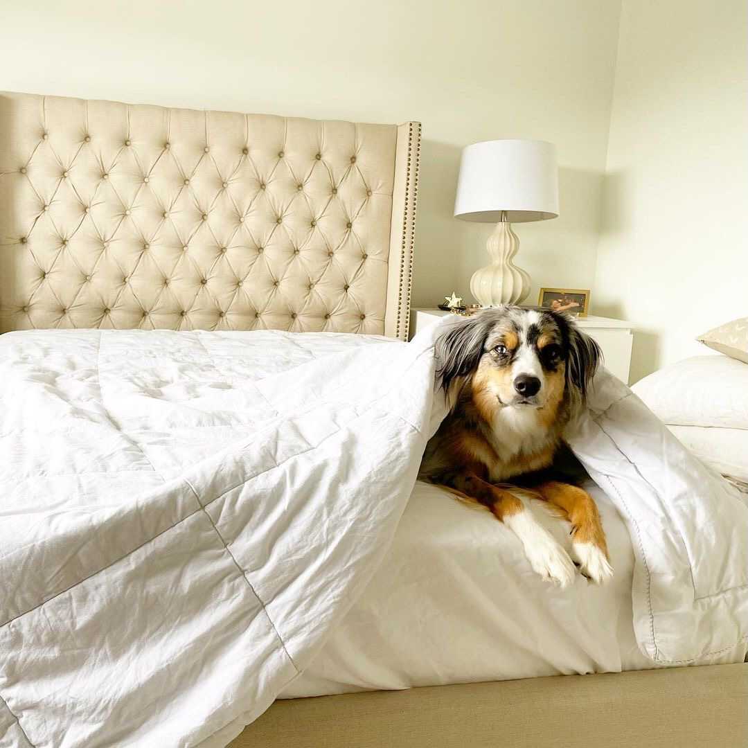 Structube Review - Must Read This Before Buying