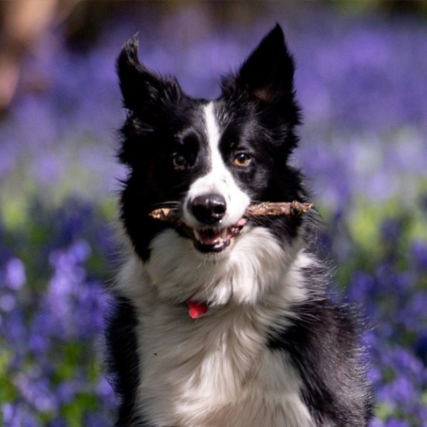 Alamy Review - Must Read This Before Buying