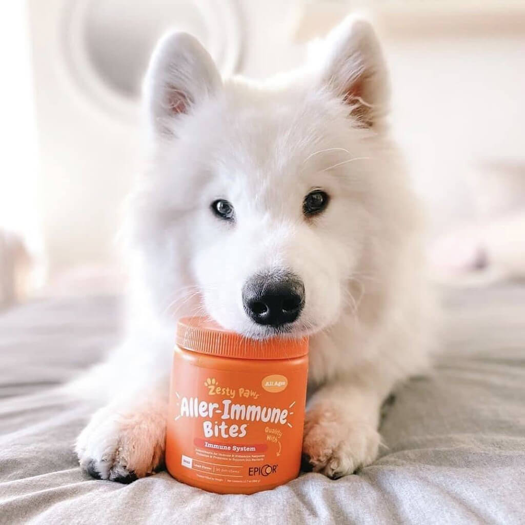 Allivet Review - Must Read This Before Buying