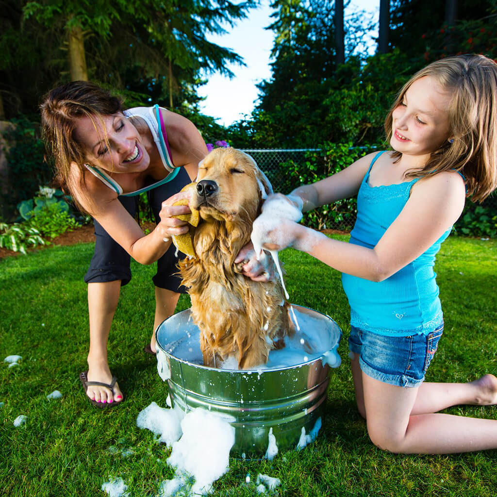 Allivet Review - Must Read This Before Buying