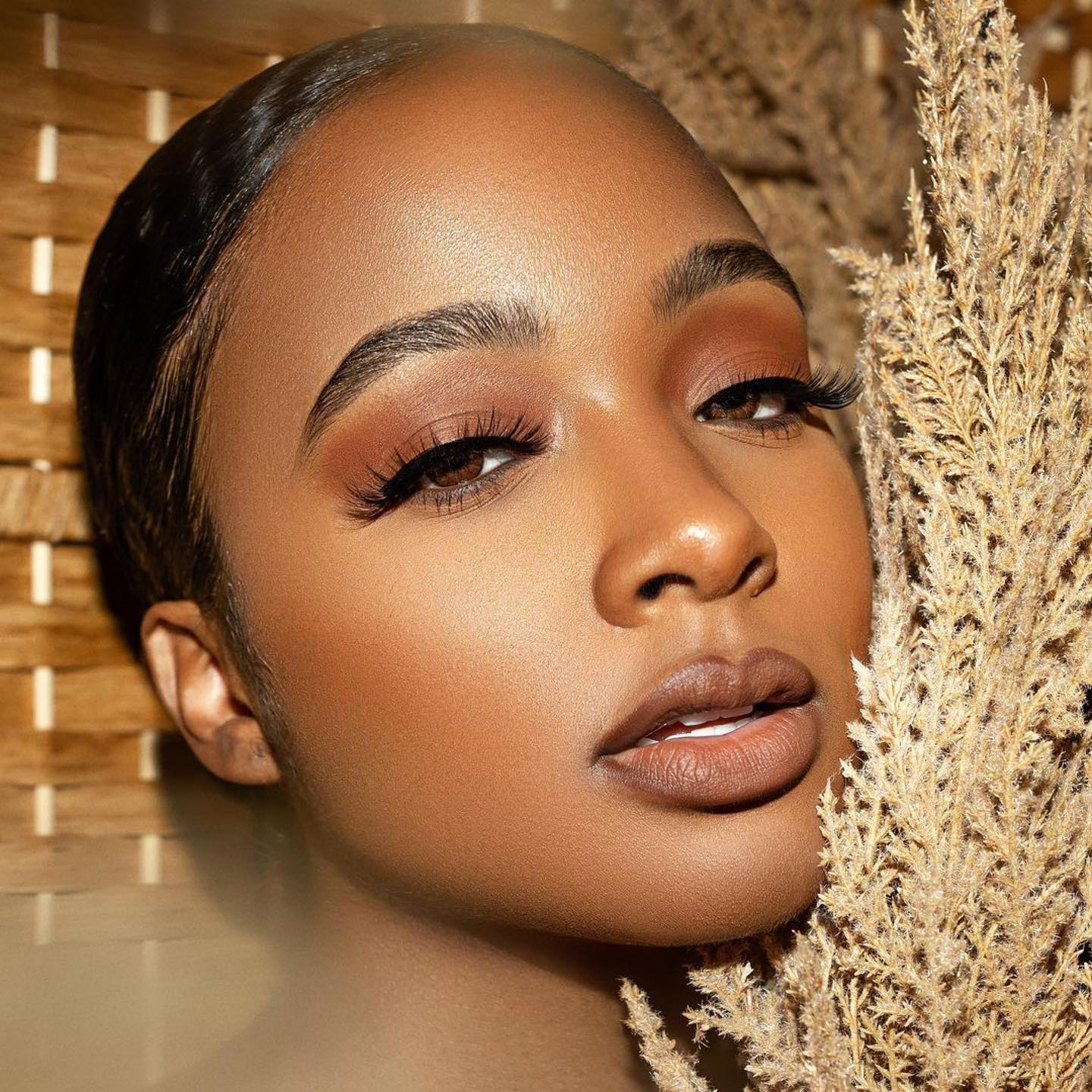Beauty Bakerie Review - Must Read This Before Buying