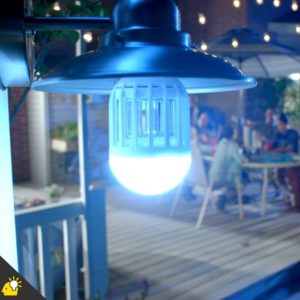 BulbHead Review - Must Read This Before Buying