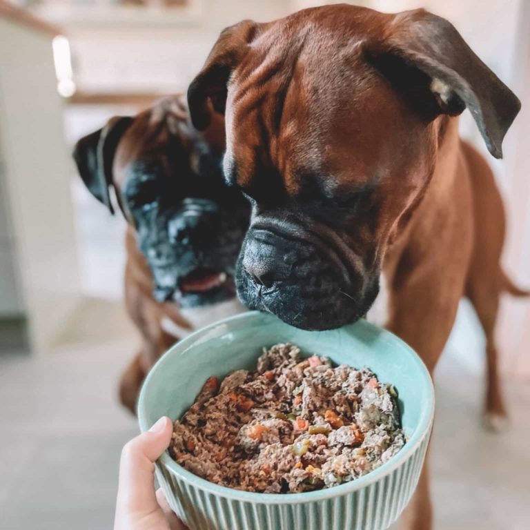 Butternut Box Review - Must Read This Before Buying