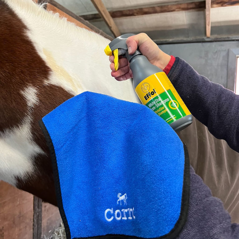 Corro Review - Must Read This Before Buying