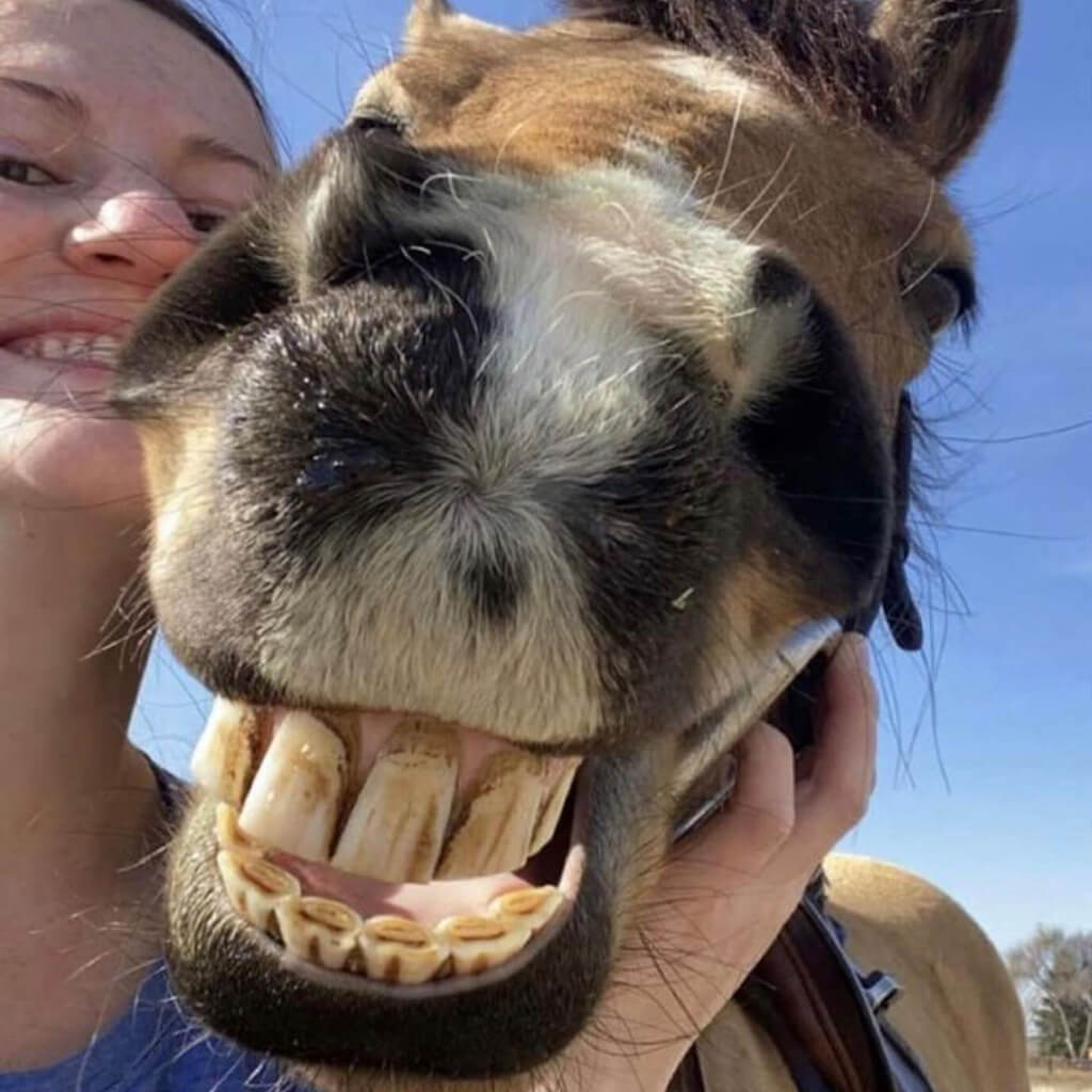 Corro Review - Must Read This Before Buying