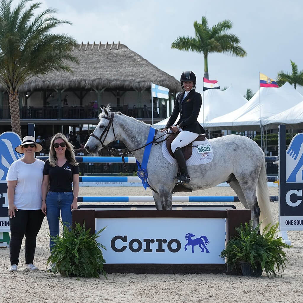 Corro Review - Must Read This Before Buying