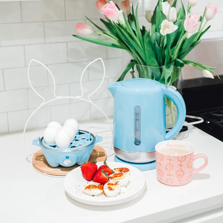 Dash Review - Must Read This Before Buying