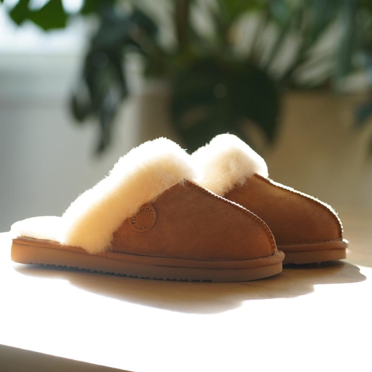 DearFoams Review - Must Read This Before Buying