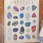 Earthbound Trading Company Review - Must Read This Before Buying