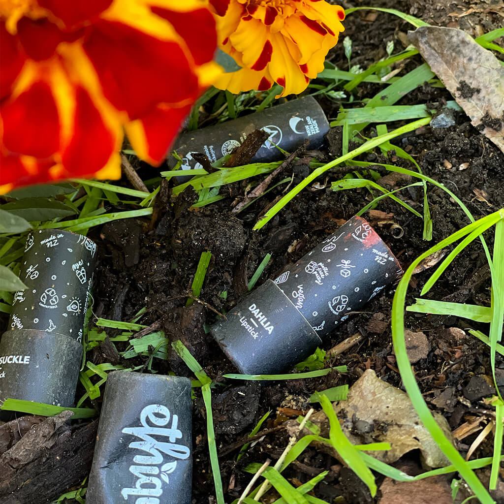 Ethique Review - Must Read This Before Buying