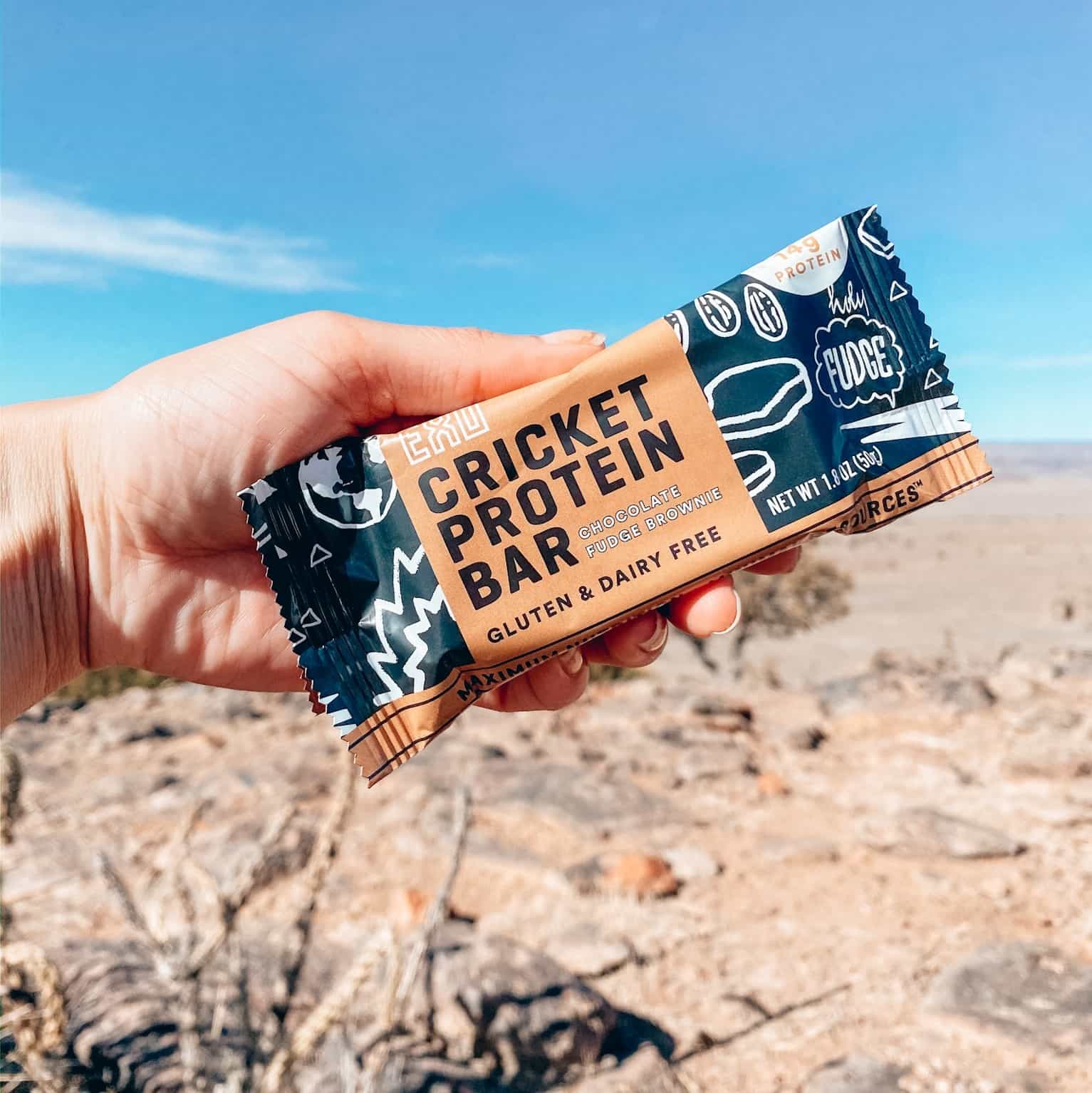 Exo Protein Review - Must Read This Before Buying