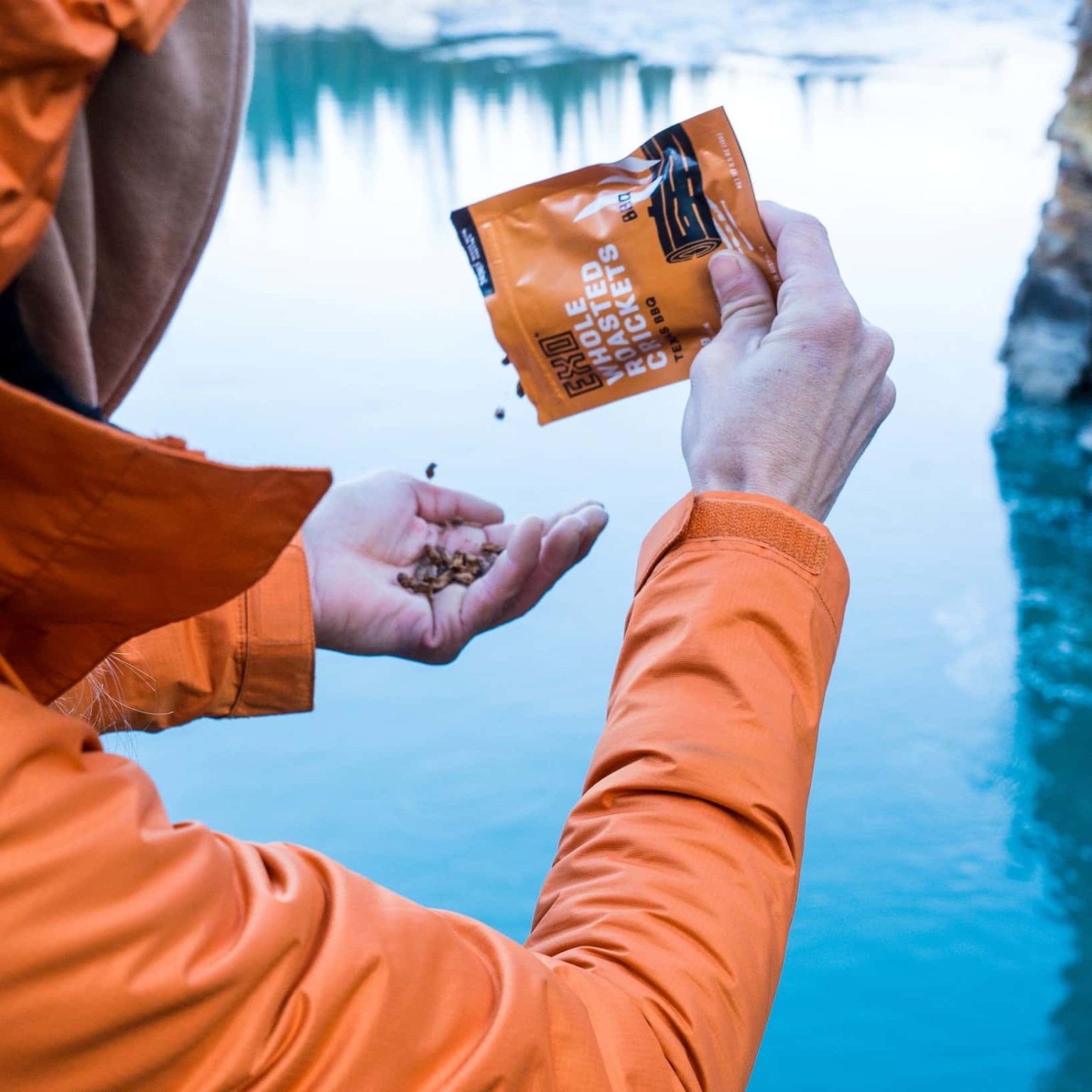 Exo Protein Review - Must Read This Before Buying