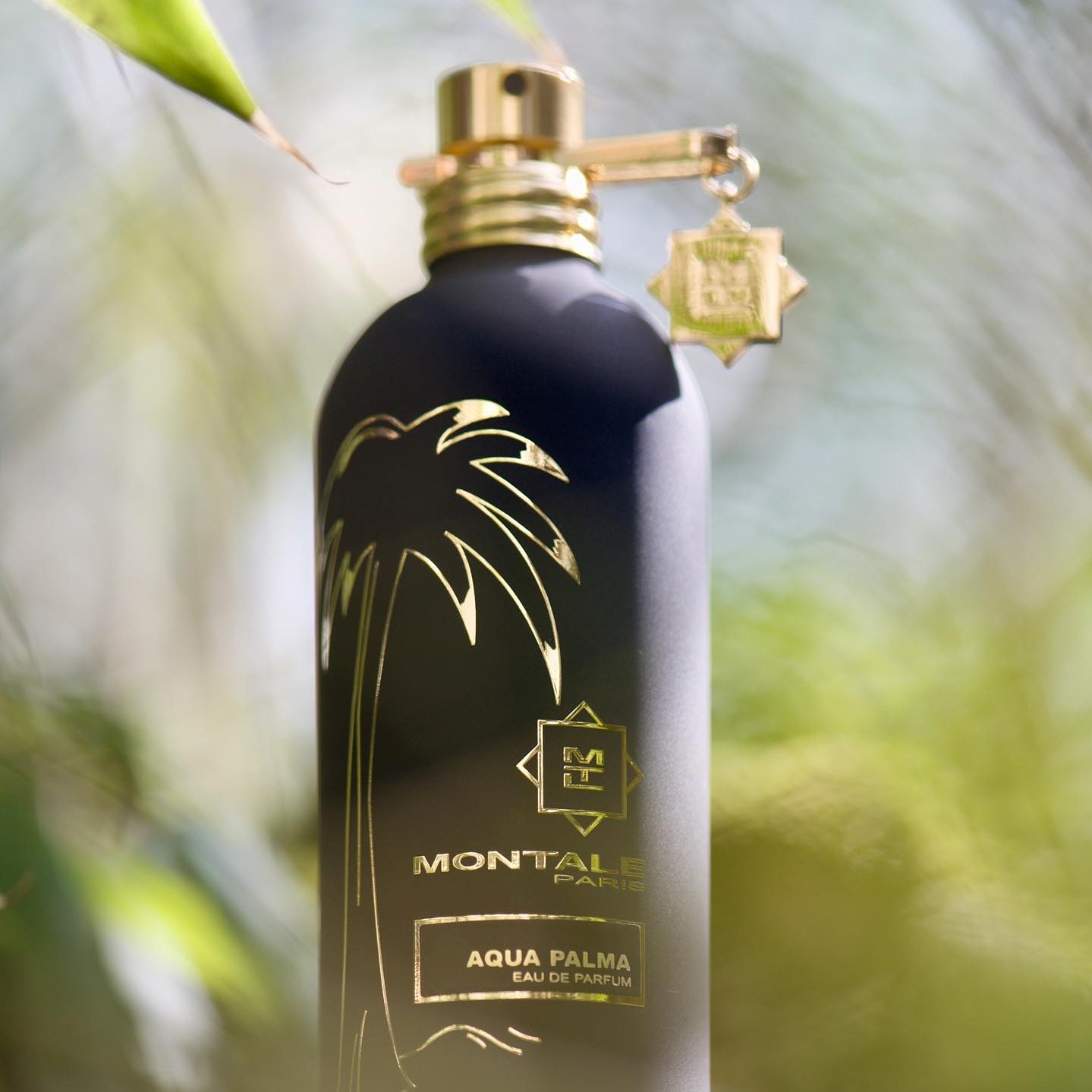 Montale Perfume Review - Must Read This Before Buying