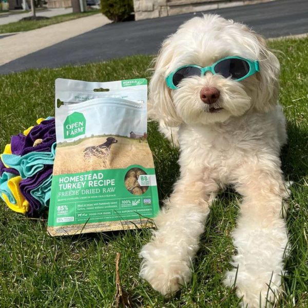 Open Farm Review - Must Read This Before Buying