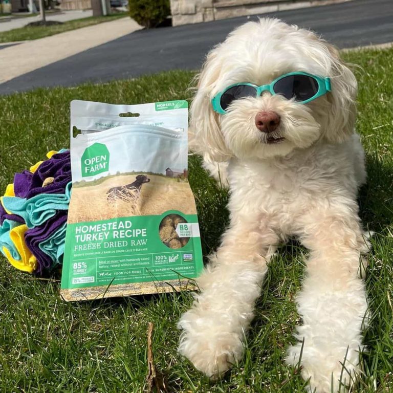 Open Farm Review - Must Read This Before Buying