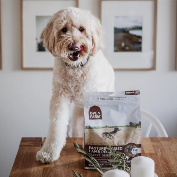 Open Farm Review - Must Read This Before Buying