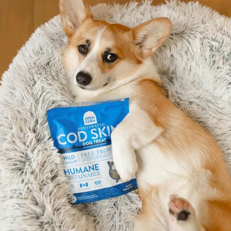 Open Farm Review - Must Read This Before Buying