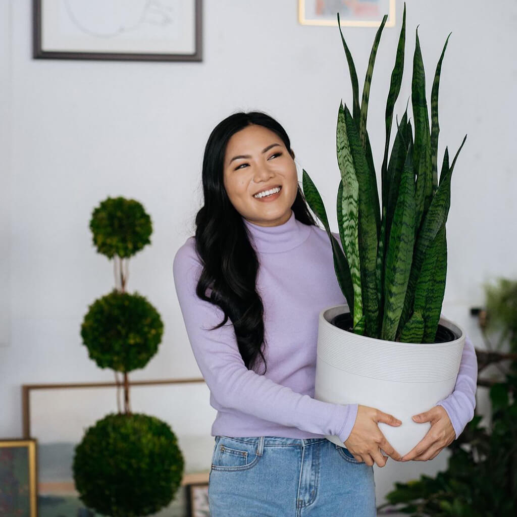 Plants Review - Must Read This Before Buying