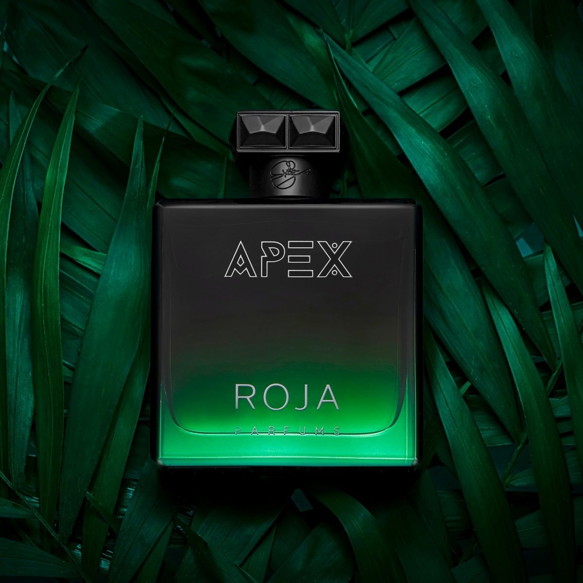 Roja Parfums Review - Must Read This Before Buying