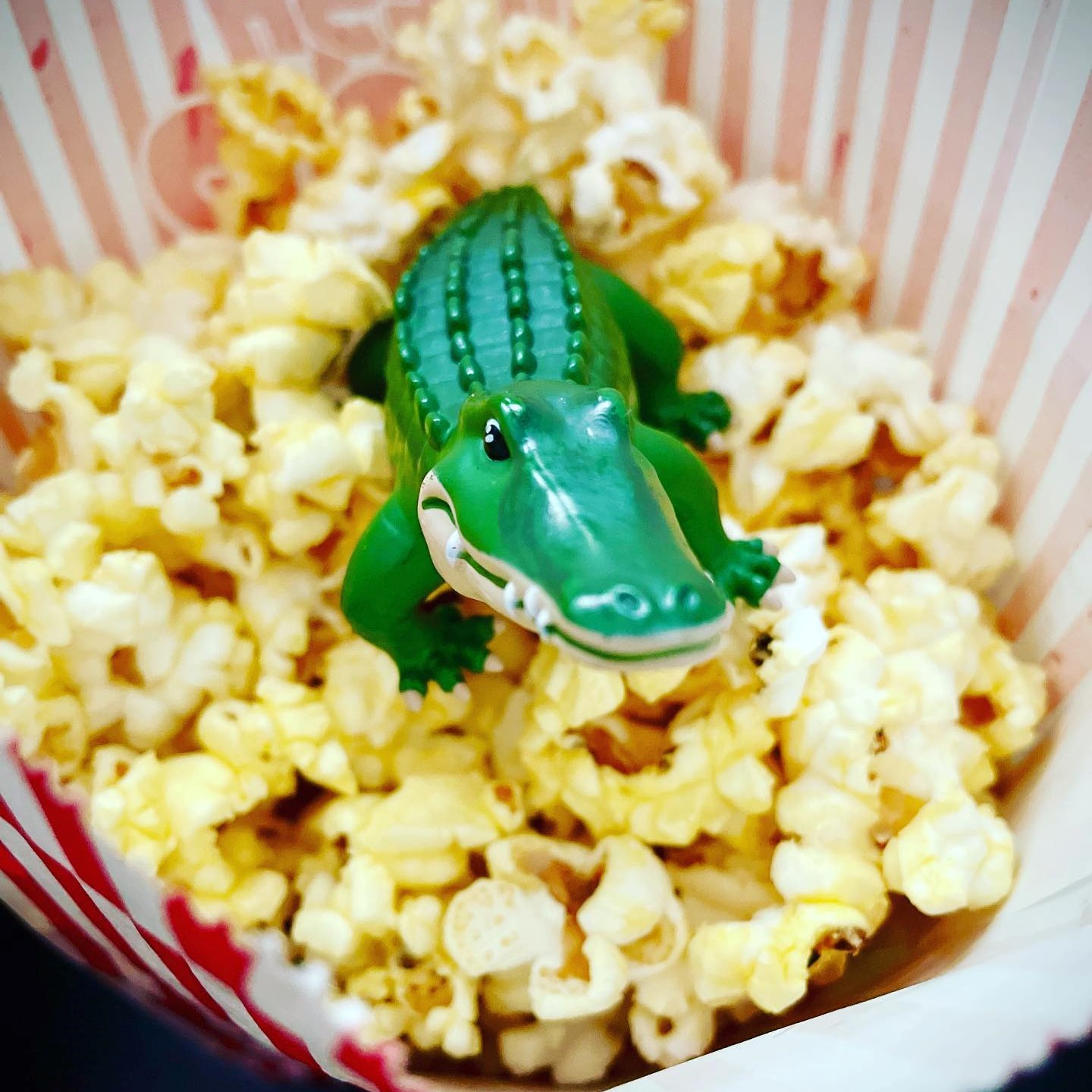 Safari Ltd Review - Must Read This Before Buying