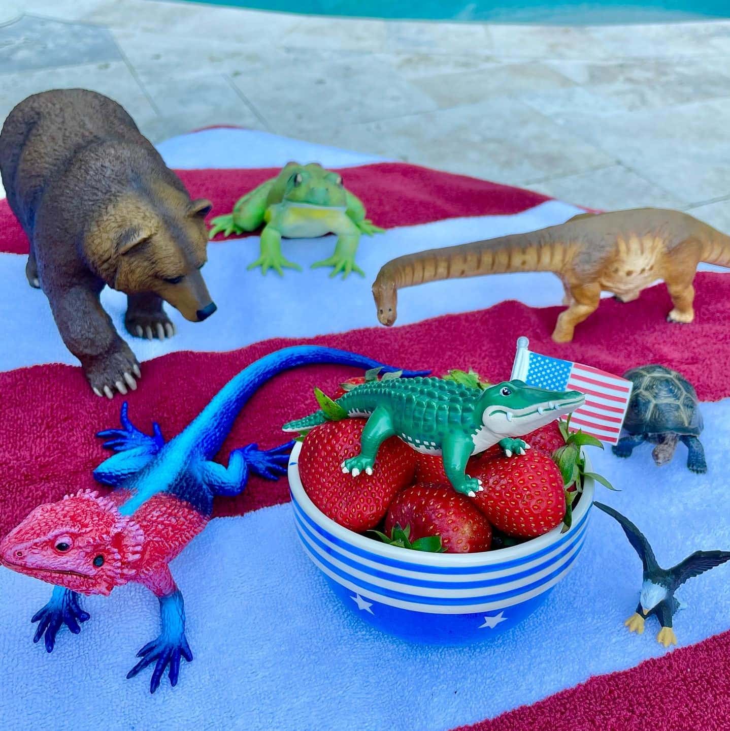 Safari Ltd Review - Must Read This Before Buying