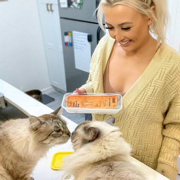 Smalls Cat Food Review - Must Read This Before Buying